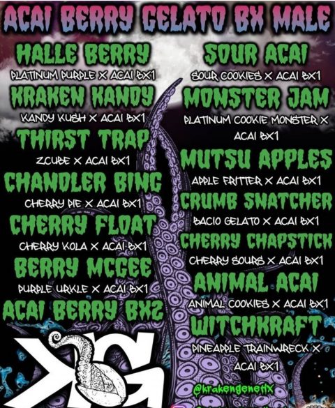 Açaí Berry Gelato BX | Kraken Genetix